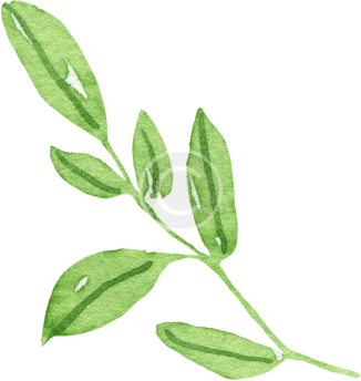 Online Store - Förster-Technik