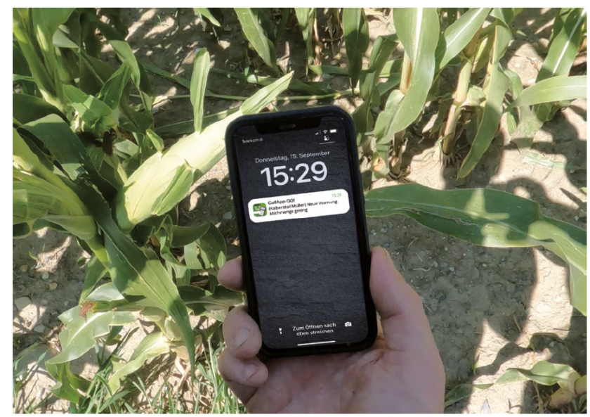 Kälber-Management - Förster-Technik